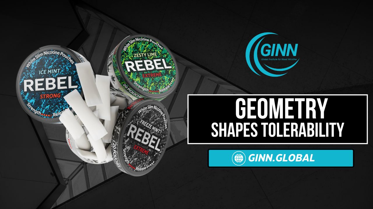 GINNformation: Why Interface Geometry Matters in Nicotine Pouch Design ...
